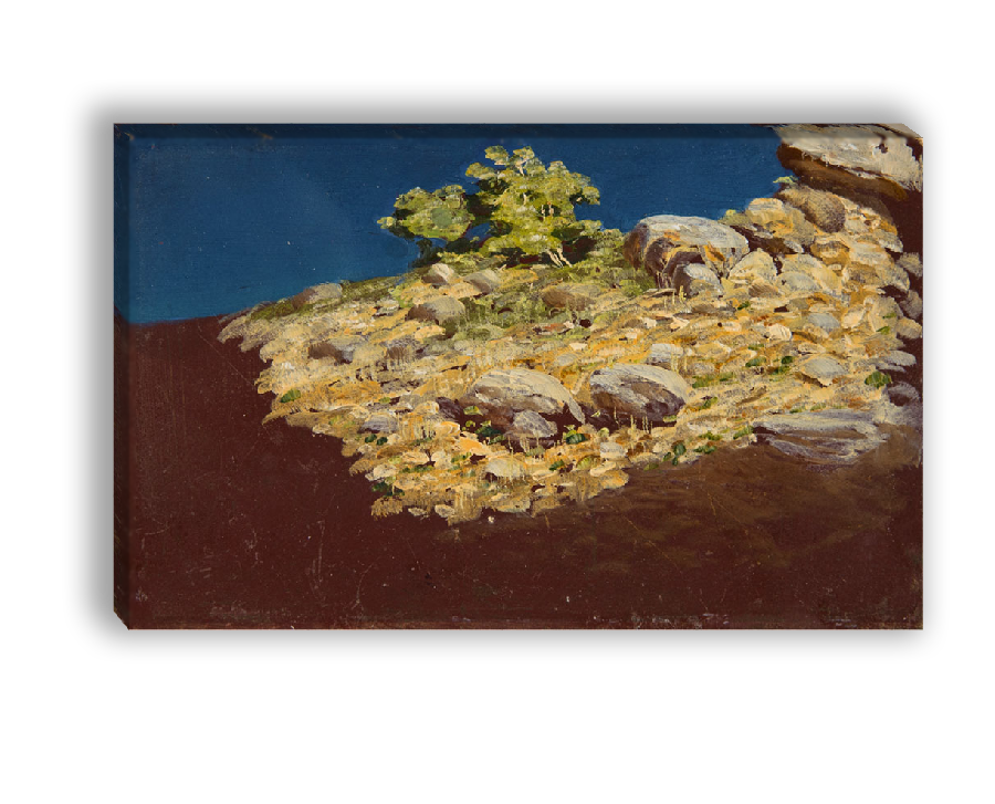 "Горный склон. Крым", Куинджи А. И, картина для интерьера (репродукция) (50х31 см / на подрамнике)