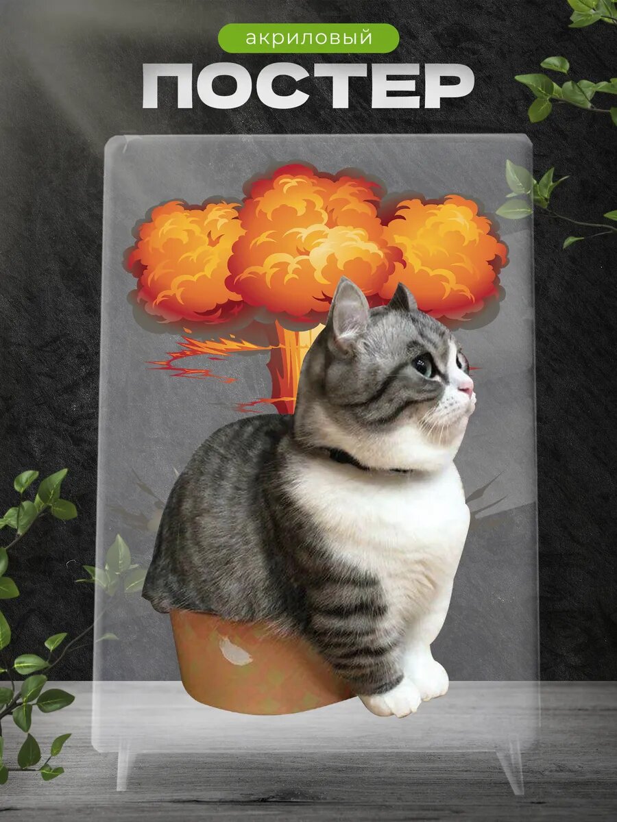 Акриловый постер на подставке с цветным принтом кот комару открытка подарочная