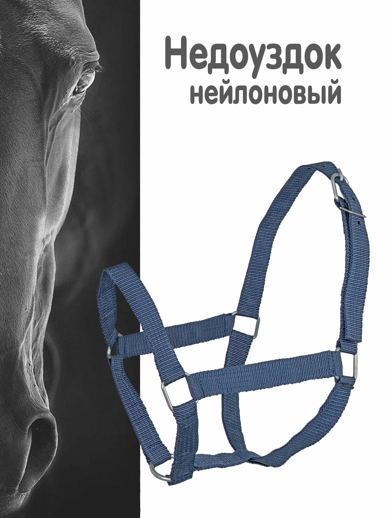 Недоуздок нейлоновый для лошадей REITER