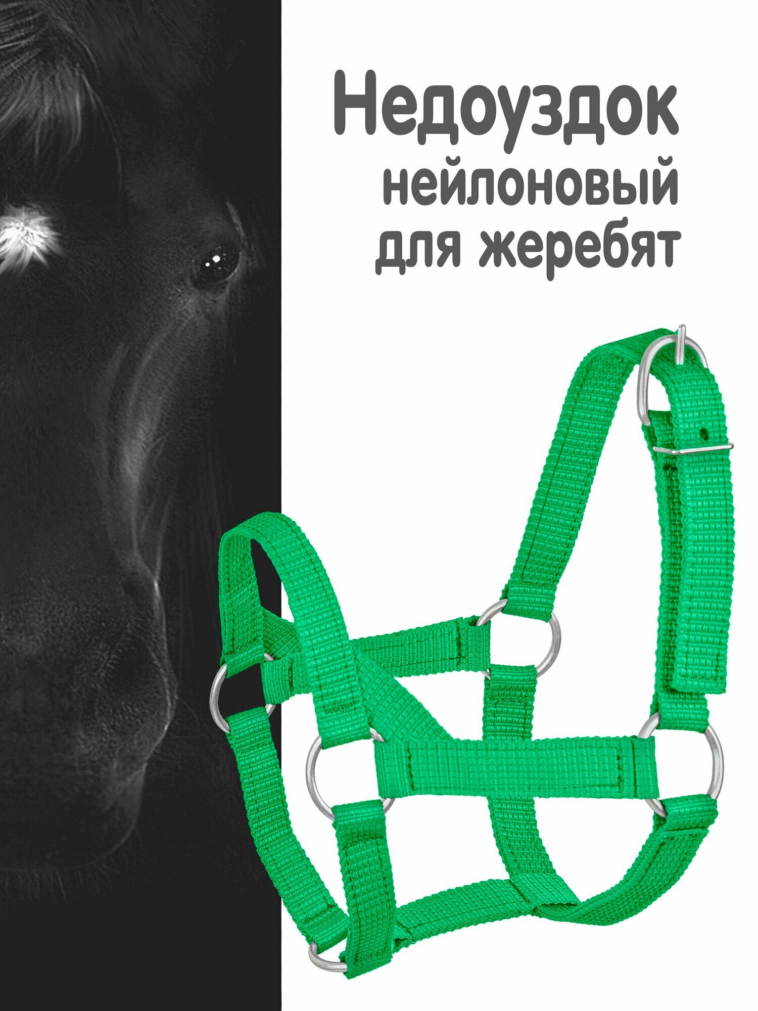 Недоуздок REITER "Pony", двойной нейлон, светло-зеленый, длина 15см