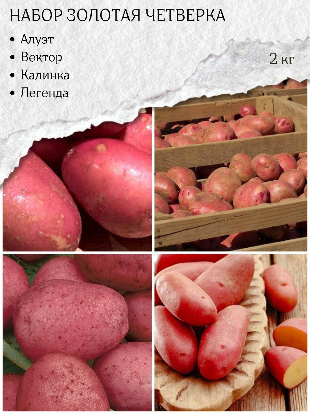 Набор картофеля из 4х сортов "Золотая четверка" (красный)