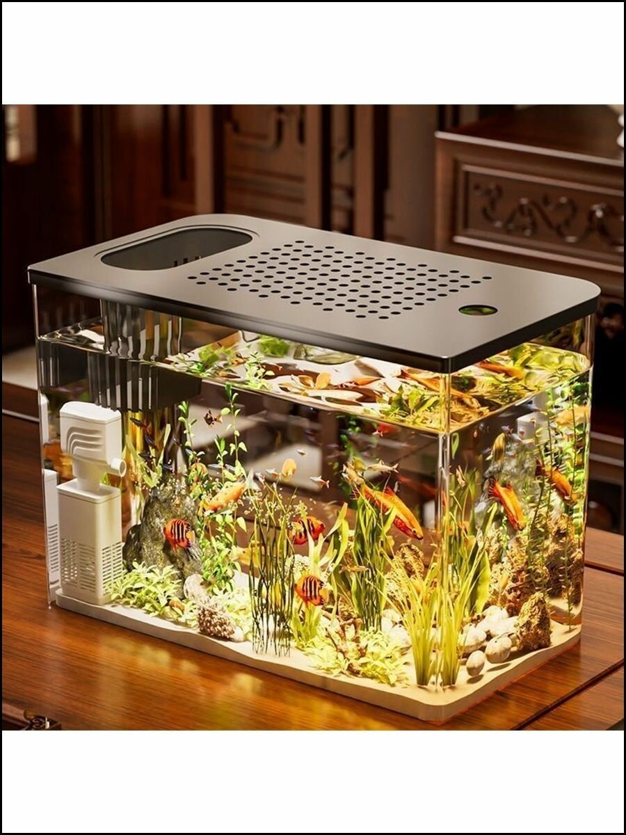 Пластиковый прозрачный аквариум для маленьких рыбок с крышкой, аквариум, размер 31*23*17.5 см, кислородный насос
