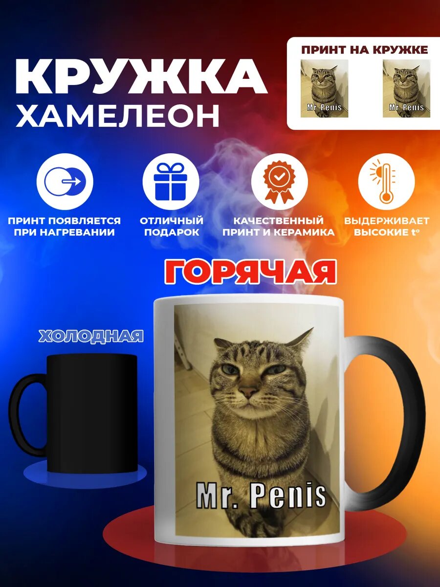 Кружка-хамелеон кот мистер
