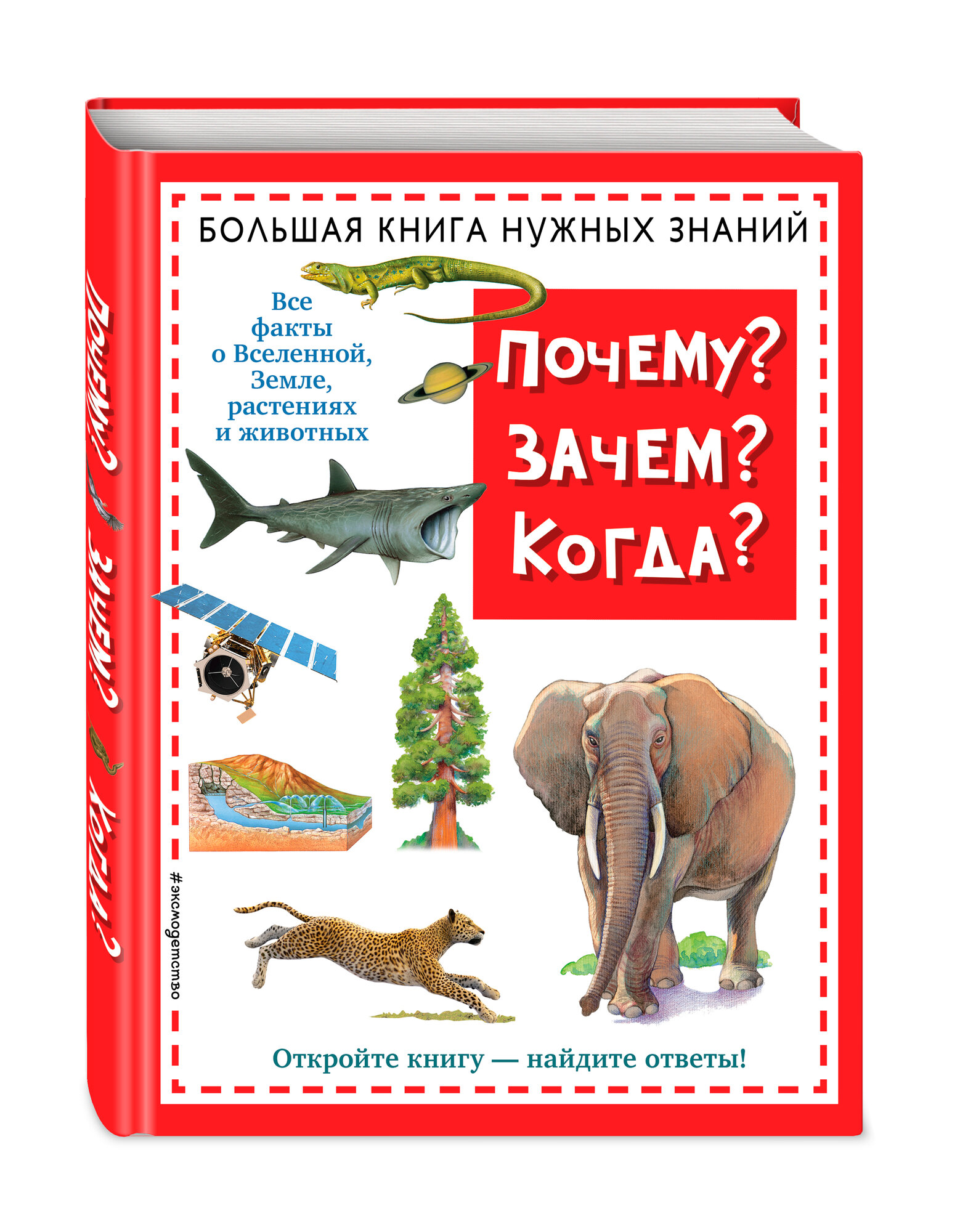 Почему? Зачем? Когда? Большая книга нужных знаний
