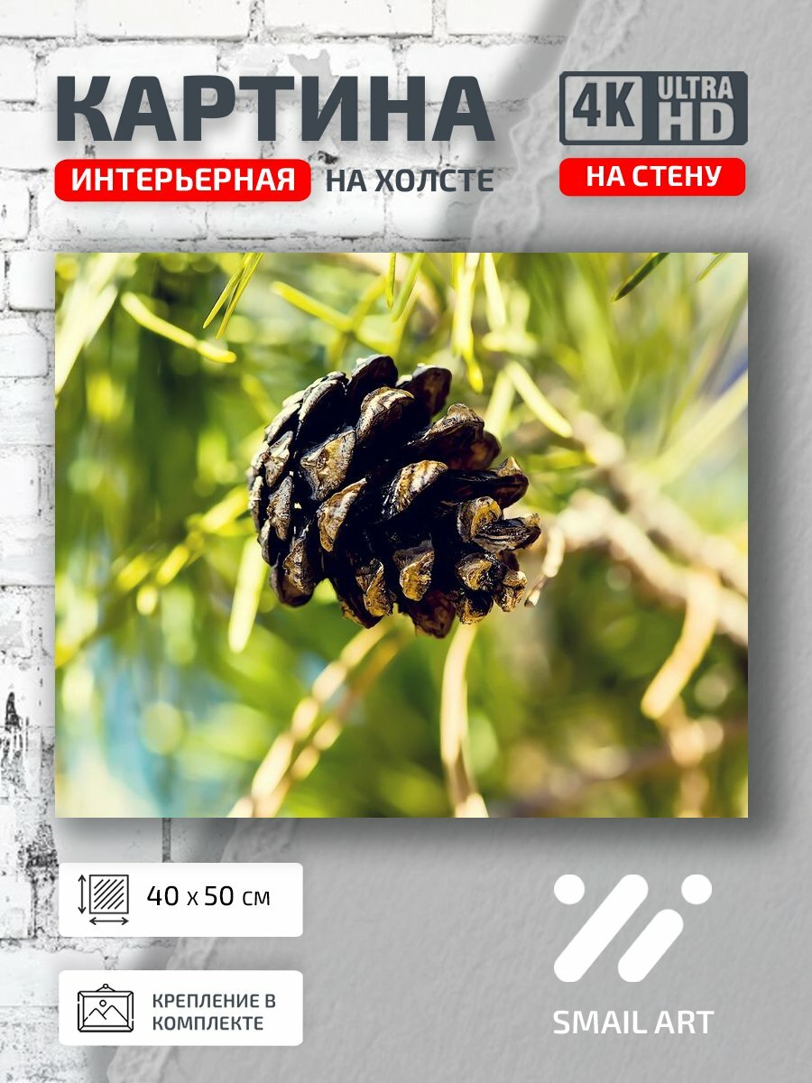 Картина на холсте интерьерная 40 на 50 на стену Сосна Landscape для офиса пейзаж интерьер