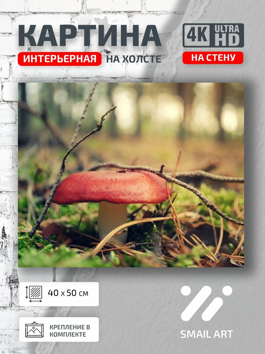 Картина на холсте интерьерная 40 на 50 на стену Гриб Landscape для спальни пейзаж интерьер