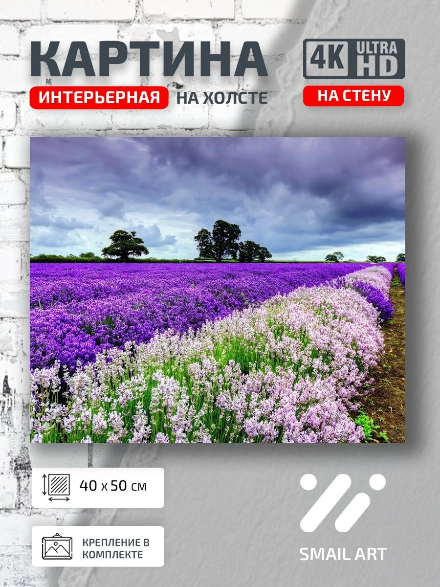 Картина на холсте интерьерная 40 на 50 на стену Природа Цветы для кафе пейзаж