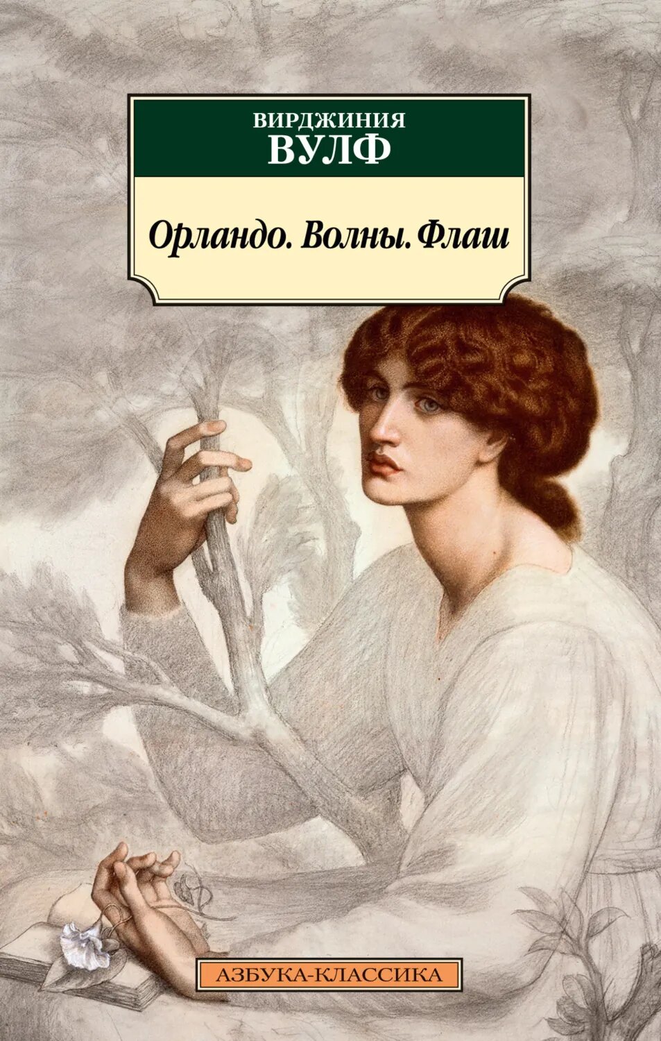 Орландо. Волны. Флаш [Цифровая книга]