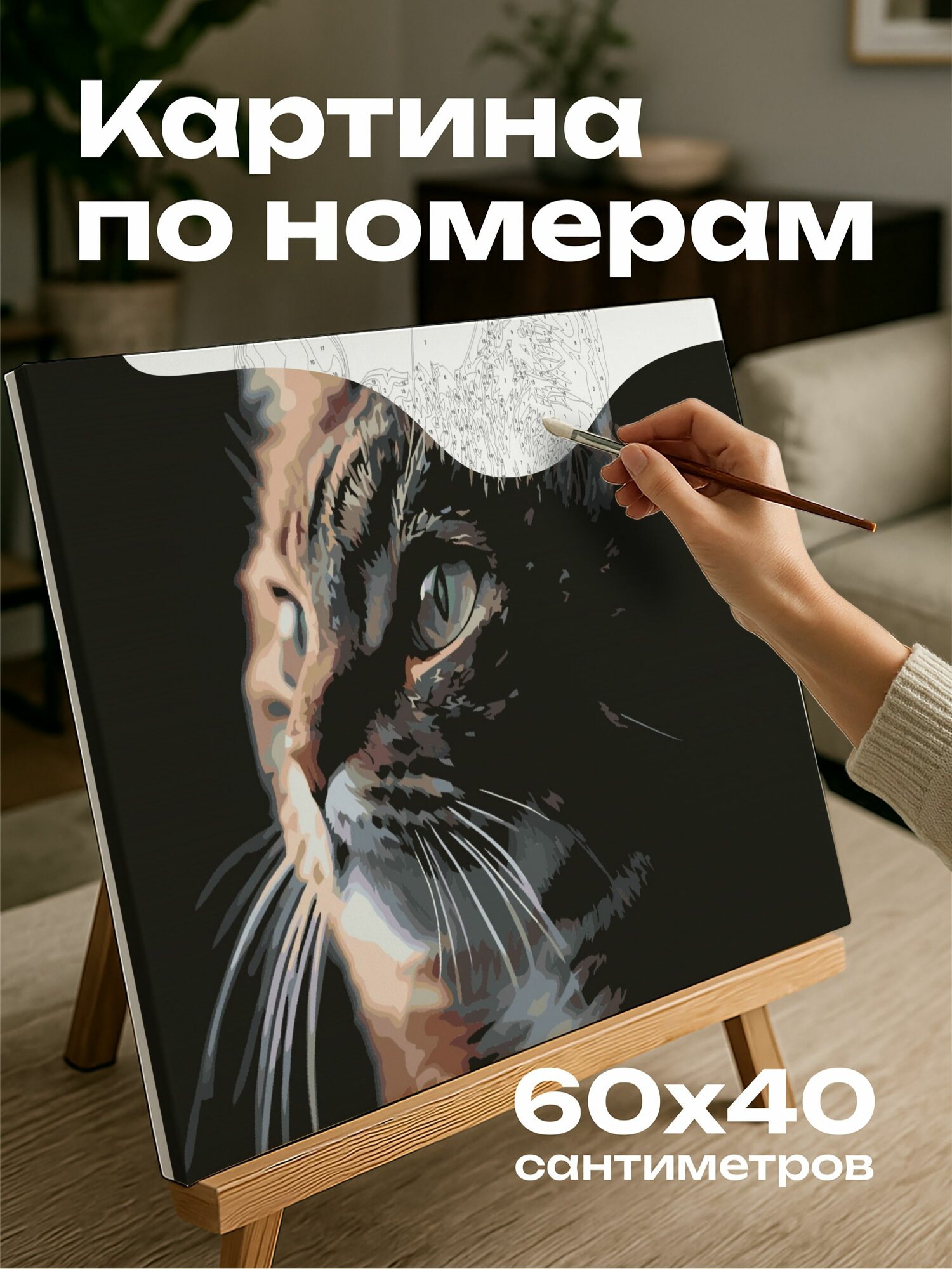 Картина по номерам 60x40 см, кошка, окрас, свет, тени, шерсть, внешний вид, Canon EF 85mm f, 1.2L II U, разрешение, 1