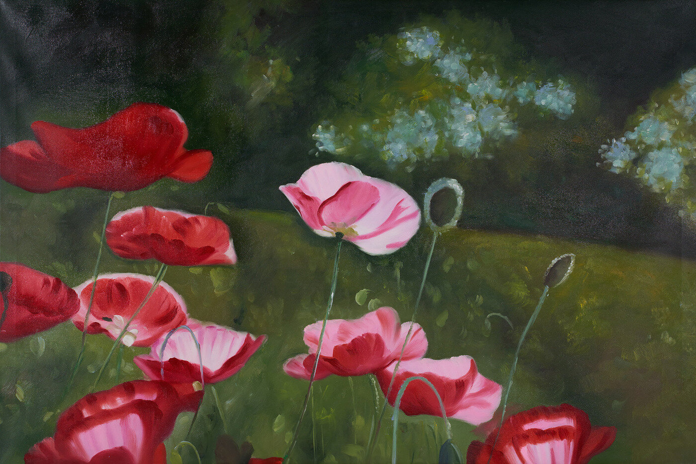 Картина на холсте для интерьера на стену в квартиру офис гостиную спальню интерьерная Маки в поле натюрморт