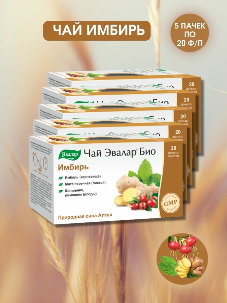 Чай имбирь 20 фильтр-пакетов по 1,5г Эвалар Био