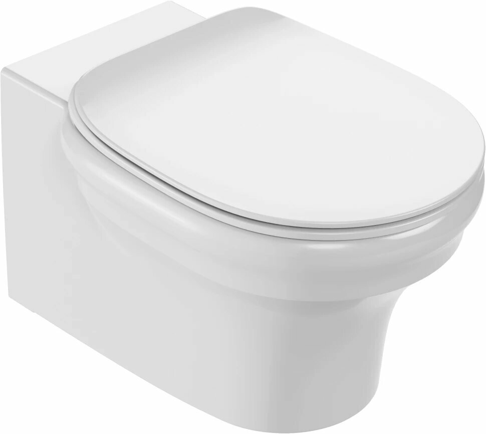 Унитаз подвесной Jacob Delafon Cleo 1889 EDZ102-0 + E24048-0 безободковый, с сиденьем микролифт, белый