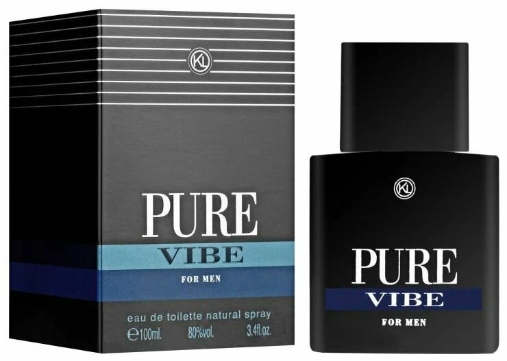 Туалетная вода Geparlys Pure Vibe, мужская, древесно-фужерная, 100 мл