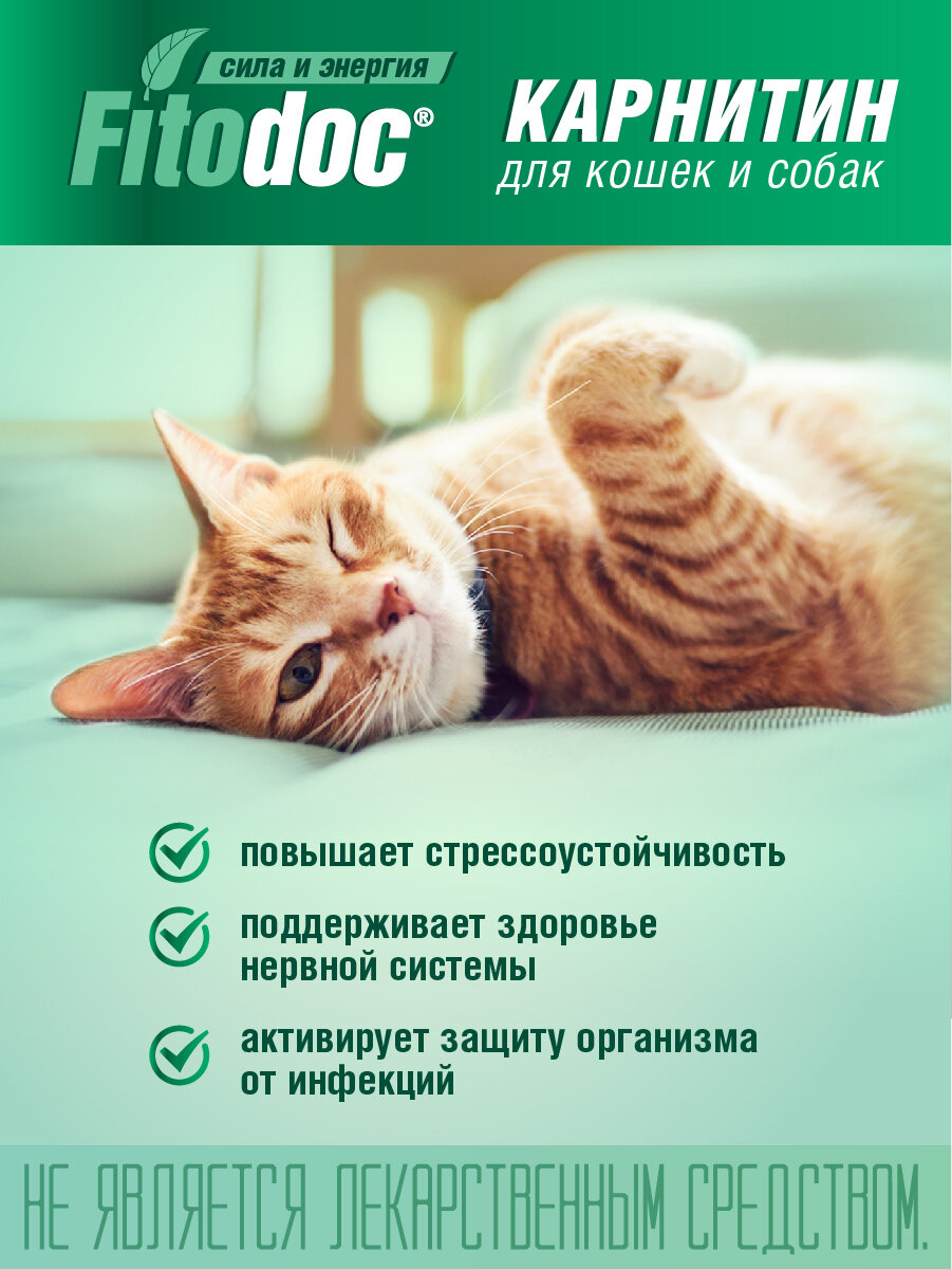 Витамины Fitodoc АВЗ "Карнитин", для кошек и собак, раствор, 50мл — фото 1
