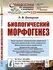 Биологический морфогенез