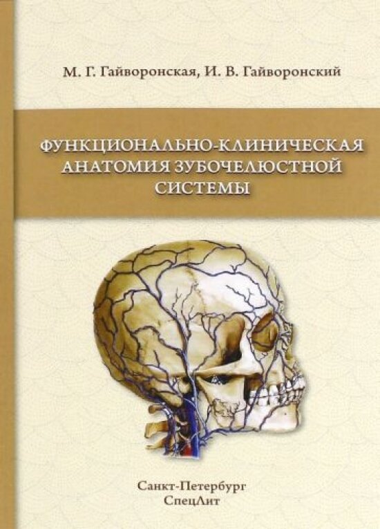 Функционально-клиническая анатомия зубочелюстной системы