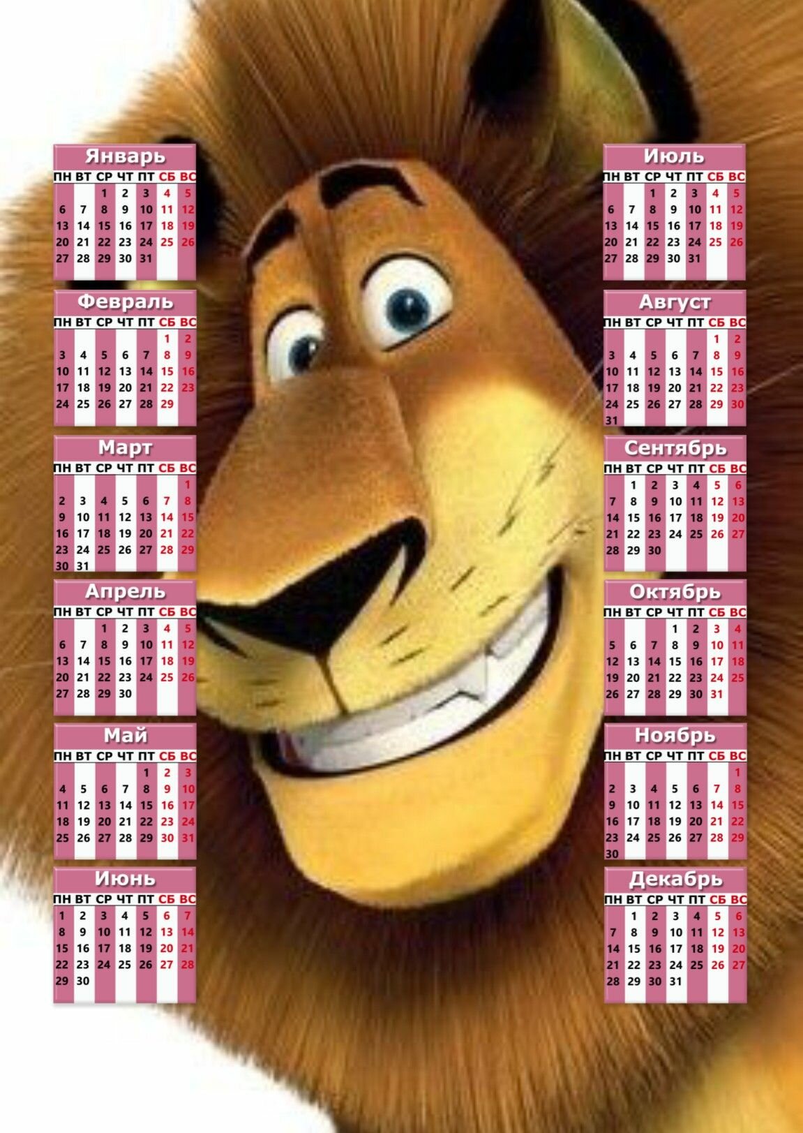 Календарь формата А4 с принтом "Мадагаскар"