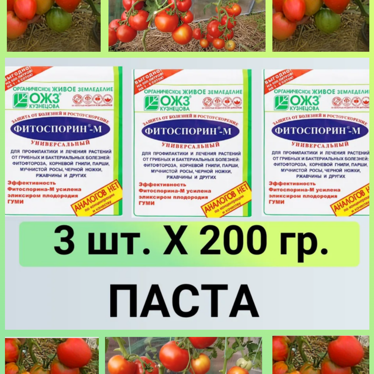 Фитоспорин-М паста 200г 3 шт