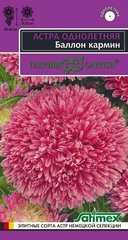 Семена растения астра баллон кармин
