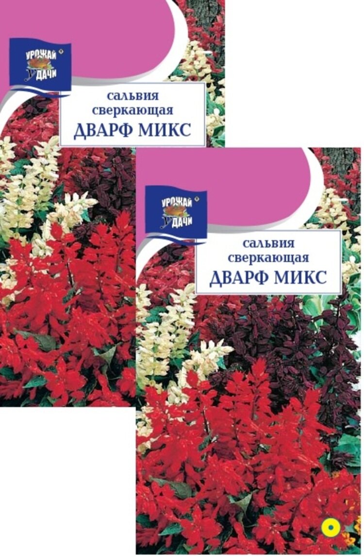 Семена Сальвия сверкающая Дварф Микс (0,03 г), 2 пакета, Урожай Удачи