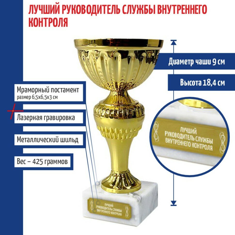 Кубок Лучший руководитель службы внутреннего контроля