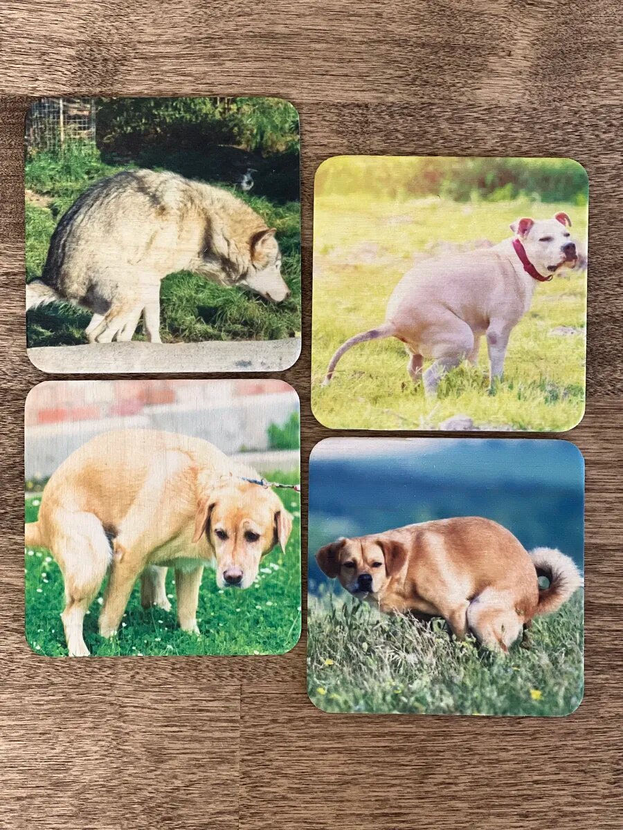 Подставка под кружку и стаканы мем Собаки 4 шт