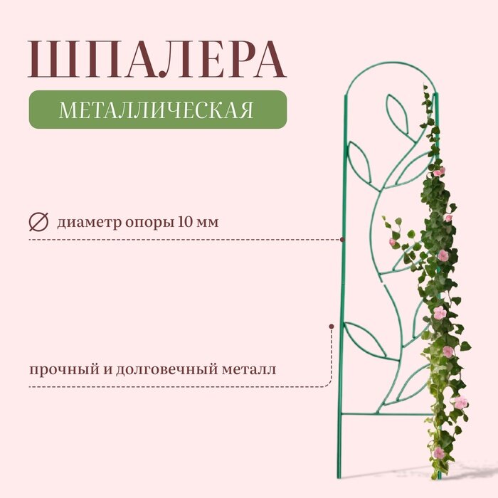 Шпалера, 173×37×1 см, металл, зелёная, «Декоративная. Стебель»