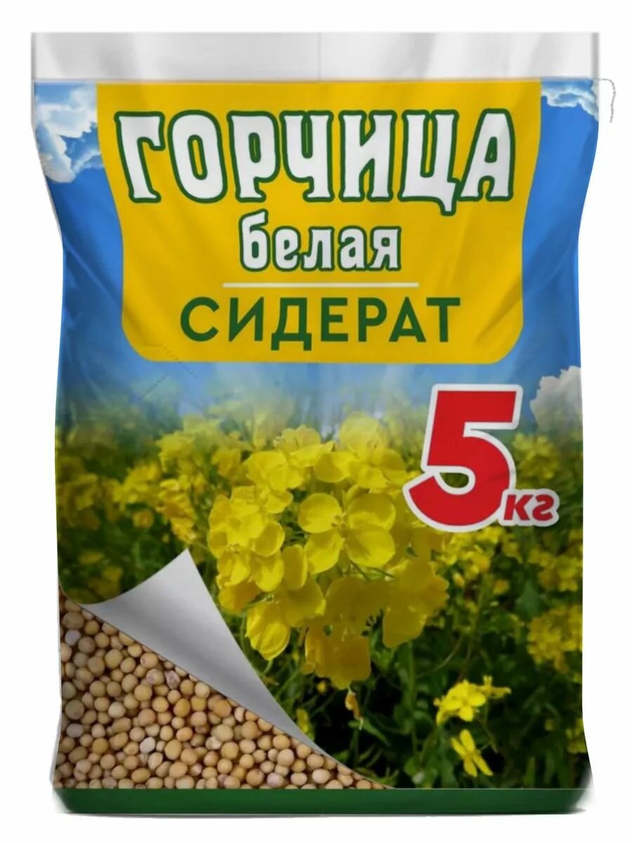 Горчица семена сидерат, для проращивания, посева, микрозелени, засолки 5 кг.