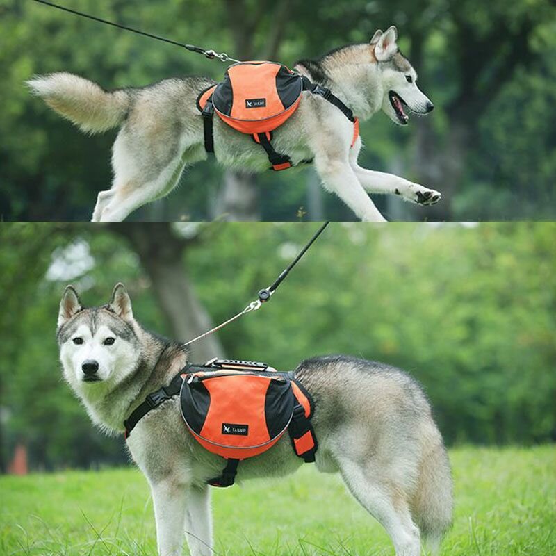 Шлейка для собак светоотражающая с рюкзаком и карманами на спину (сумка-седло)