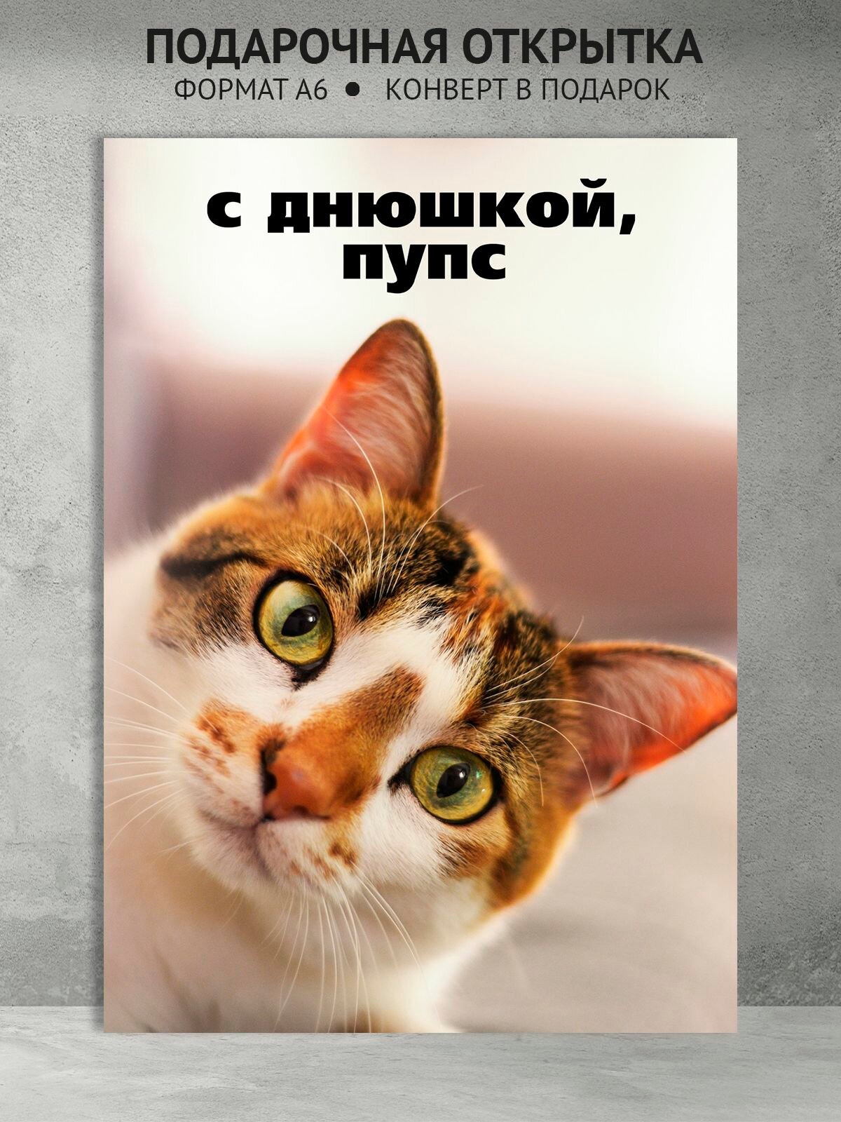 Подарочная открытка с уникальной иллюстрацией котик "С днюшкой, пупс" с днем рождения, с юбилеем