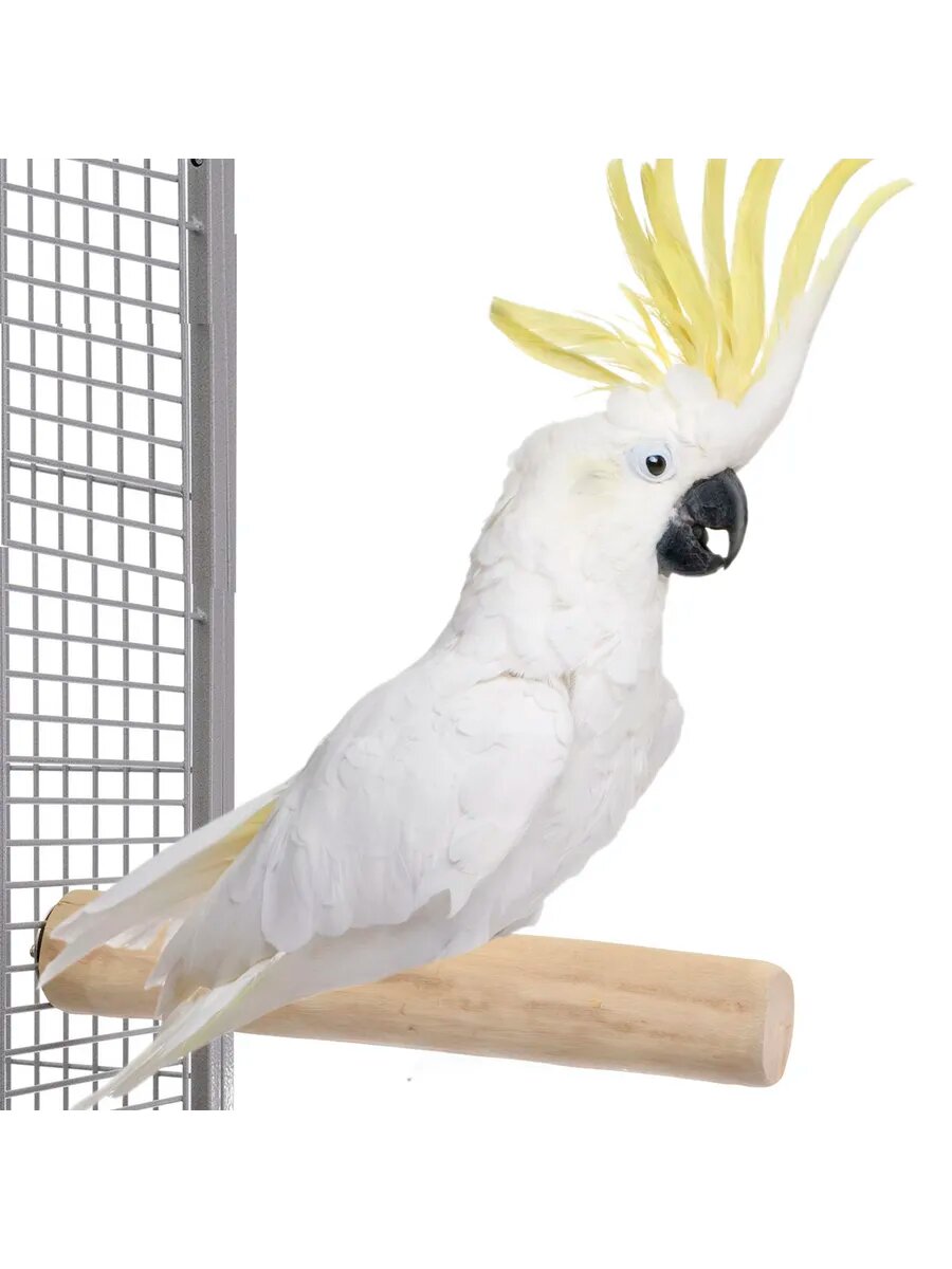 Жердочка для птиц Ветвь кофейная