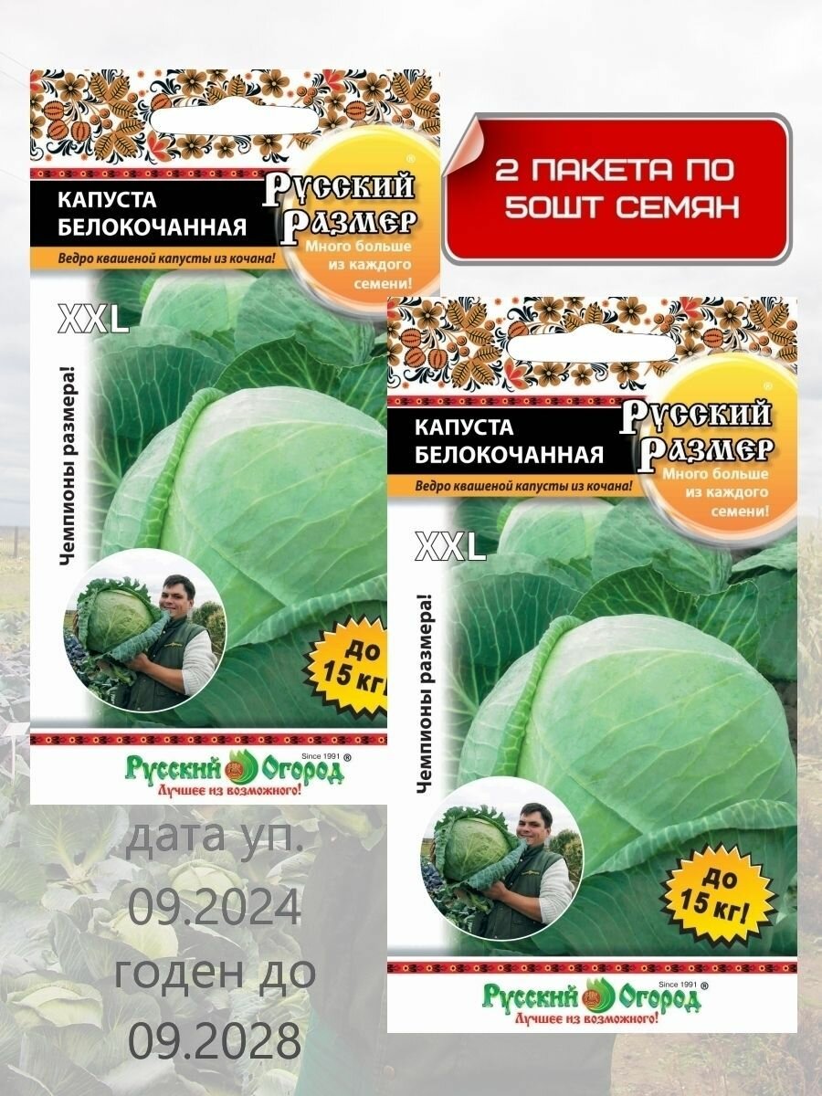 Капуста б/к Русский размер 2 пакета по 50шт семян
