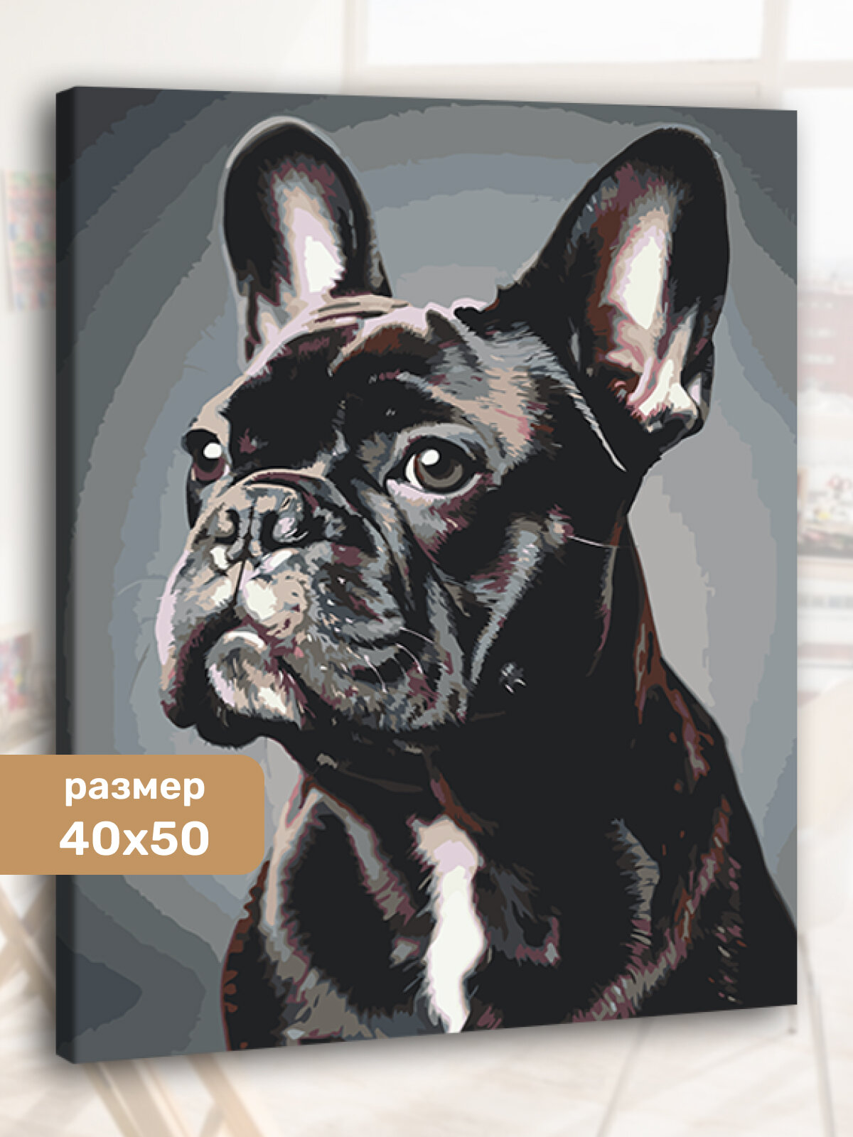 Картина по номерам на холсте и подрамнике "Французский бульдог" 40x50см