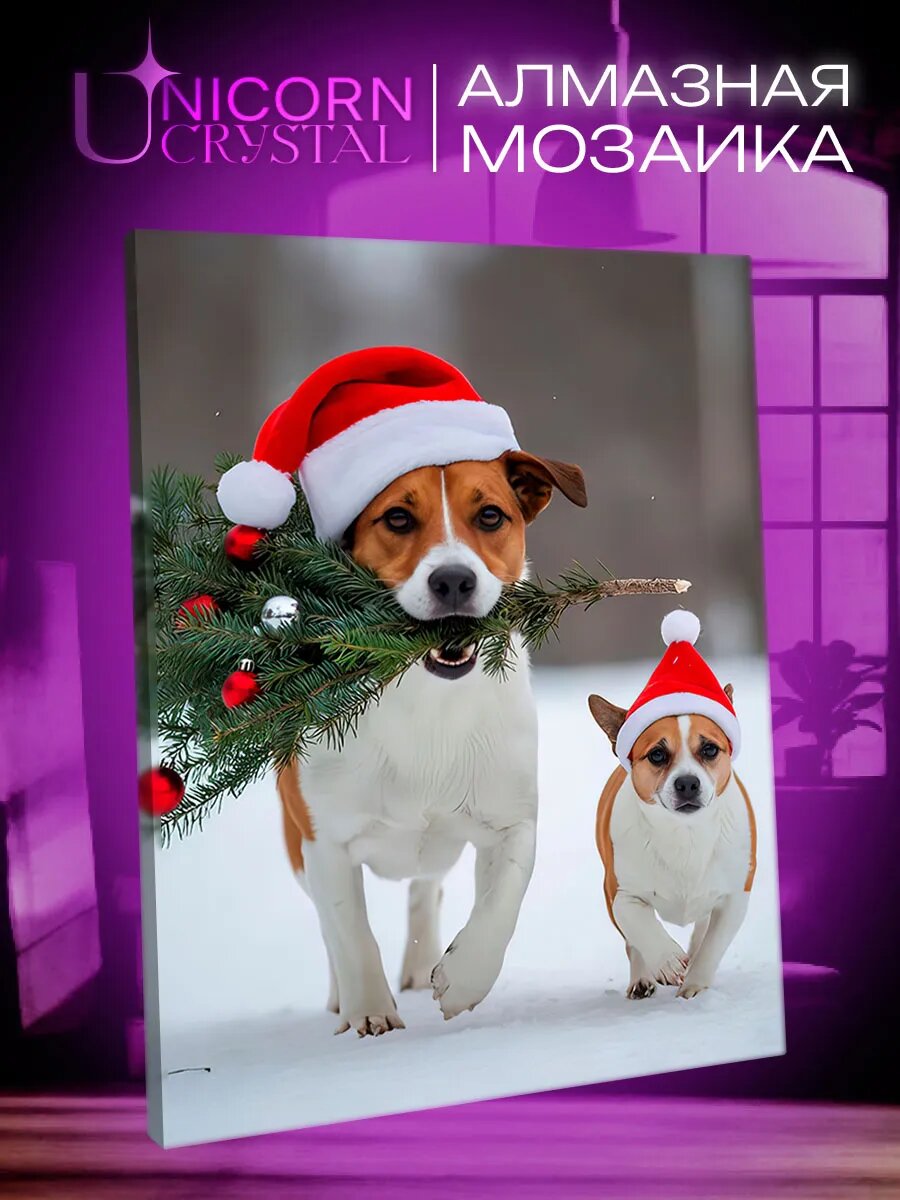 Алмазная мозаика Зимние