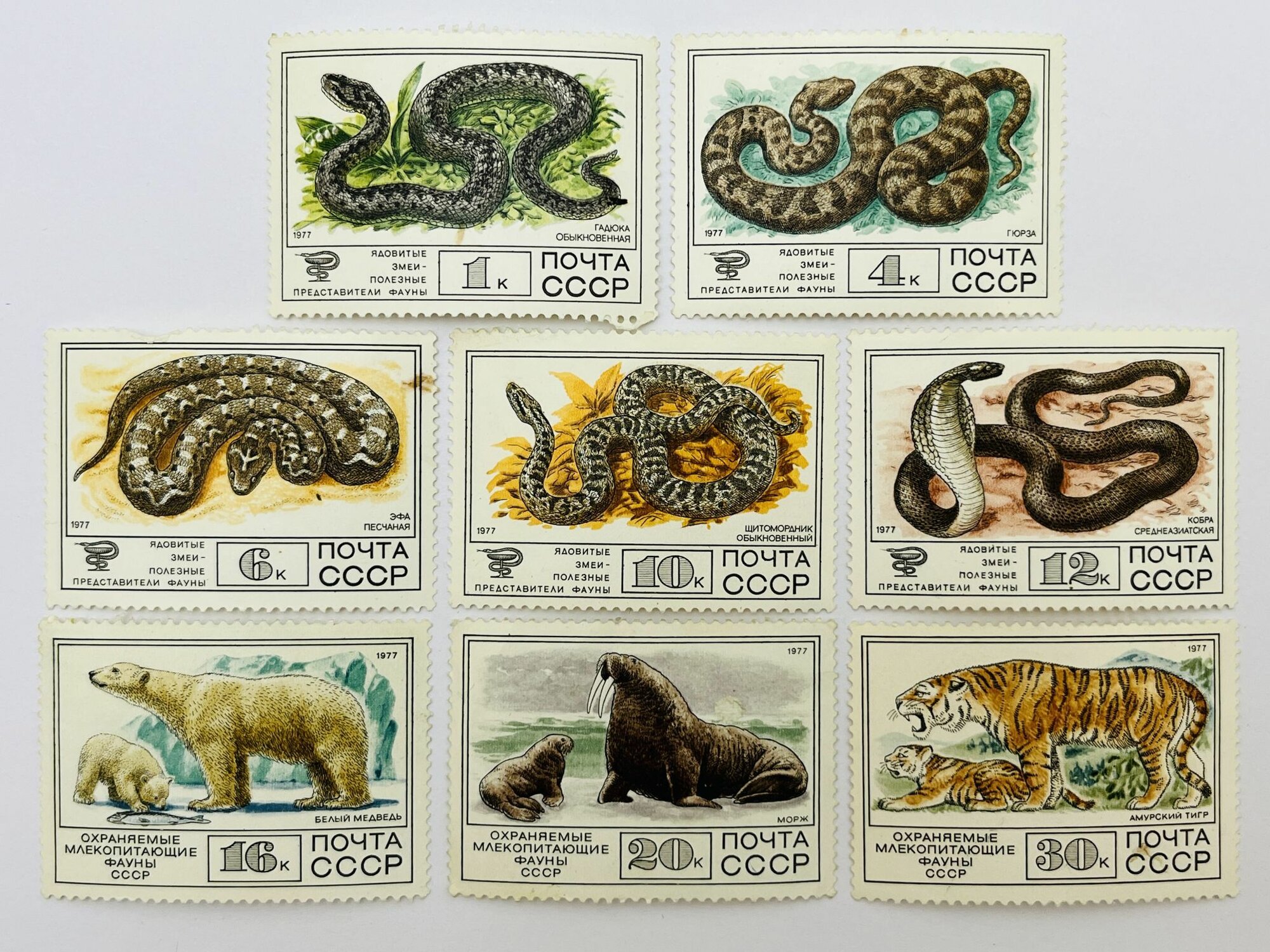Фауна СССР. Обыкновенная гадюка. Гюрза. Песчаная эфа. Обыкновенный щитомордник. Среднеазиатская кобра. Белый медведь. Морж. Амурский тигр. Полная серия. СССР. 1977. Загорский: 4728-4735. Чист *. MH