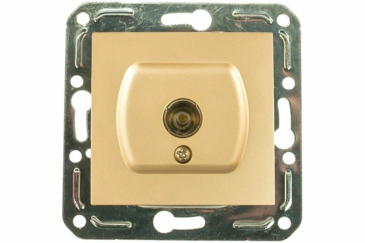 Одноместная TV-розетка Volsten Magenta Dorado "золотой" V01-16-T11-M