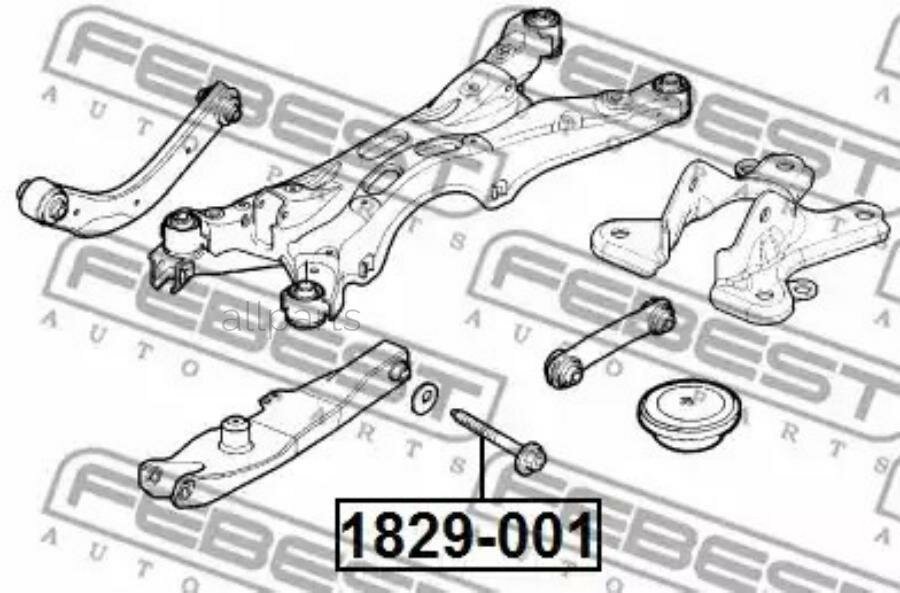 FEBEST 1829001 болт с эксцентриком!\Opel Vectra C 02-08
