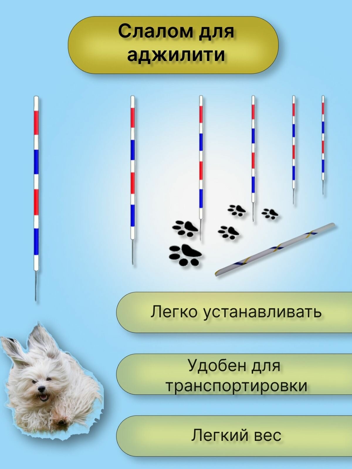 Слалом для аджилити (слалом для собак)