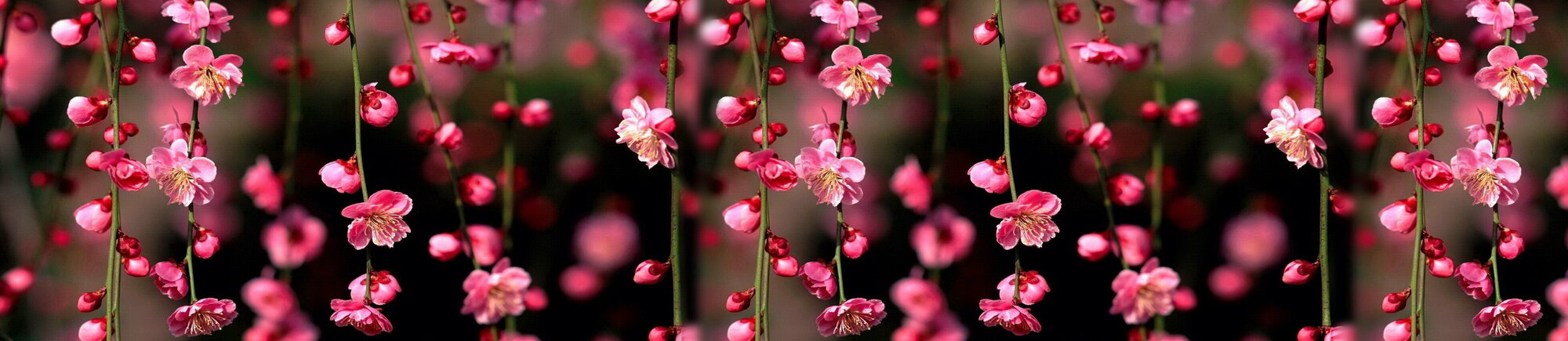 Кухонный фартук/стеновая панель МДФ для кухни 2800*600*6мм "BS-49"