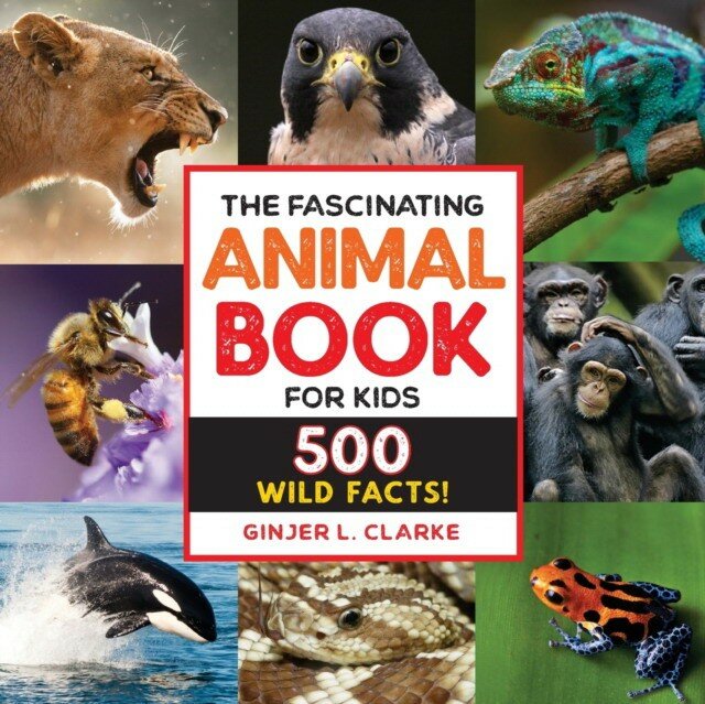 Clarke Ginjer "The Fascinating Animal Book for Kids: 500 Wild Facts!"