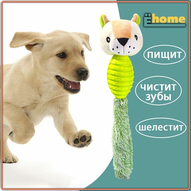 Игрушка для собак "Чистые Клыки", Массажная. грызунок / жевательная / зелёная