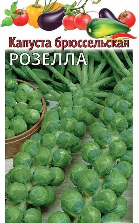 Семена Капуста брюссельская Розелла