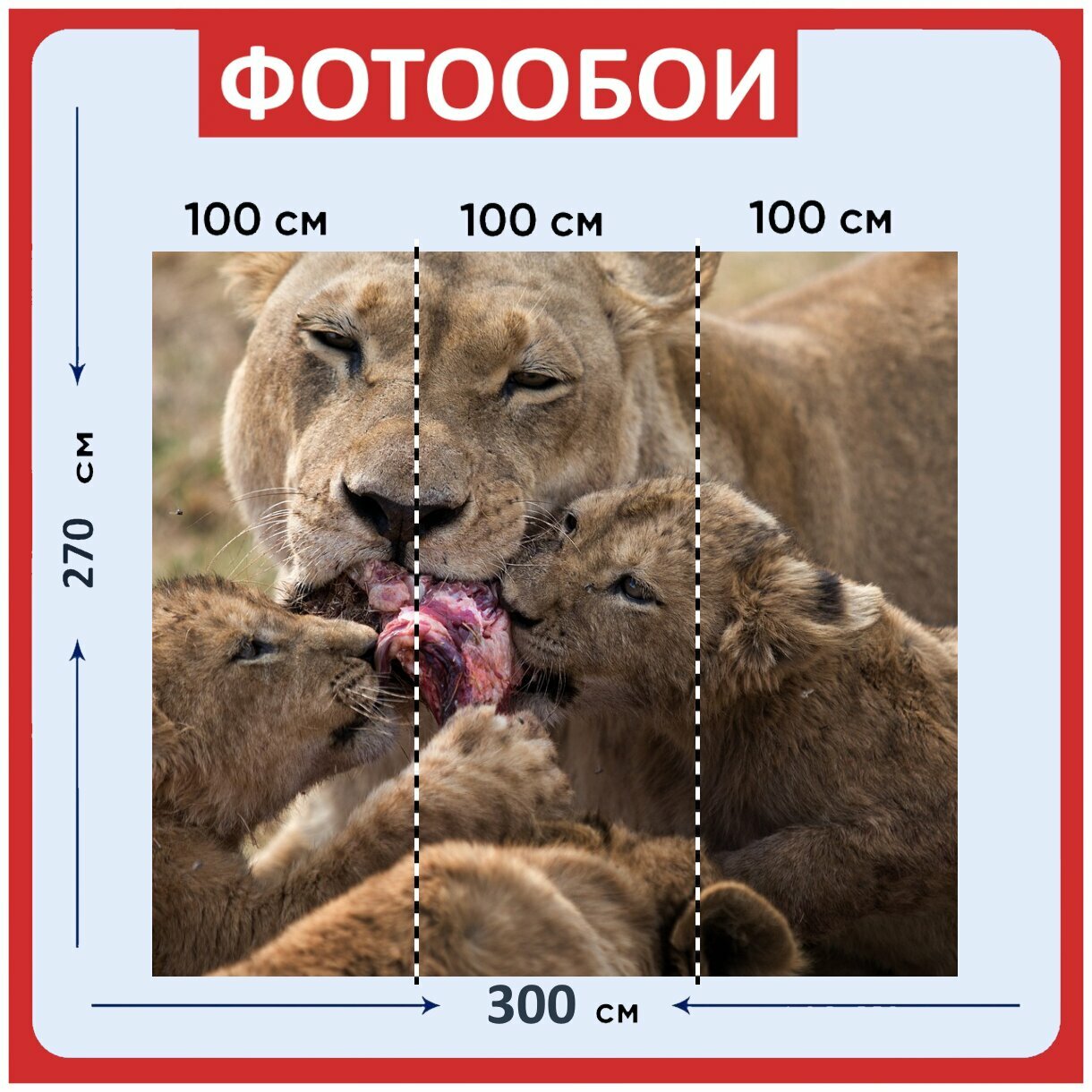 Фотообои ударопрочные моющиеся "Львы, мама, лев" 300x270 см. флизелиновые на стену