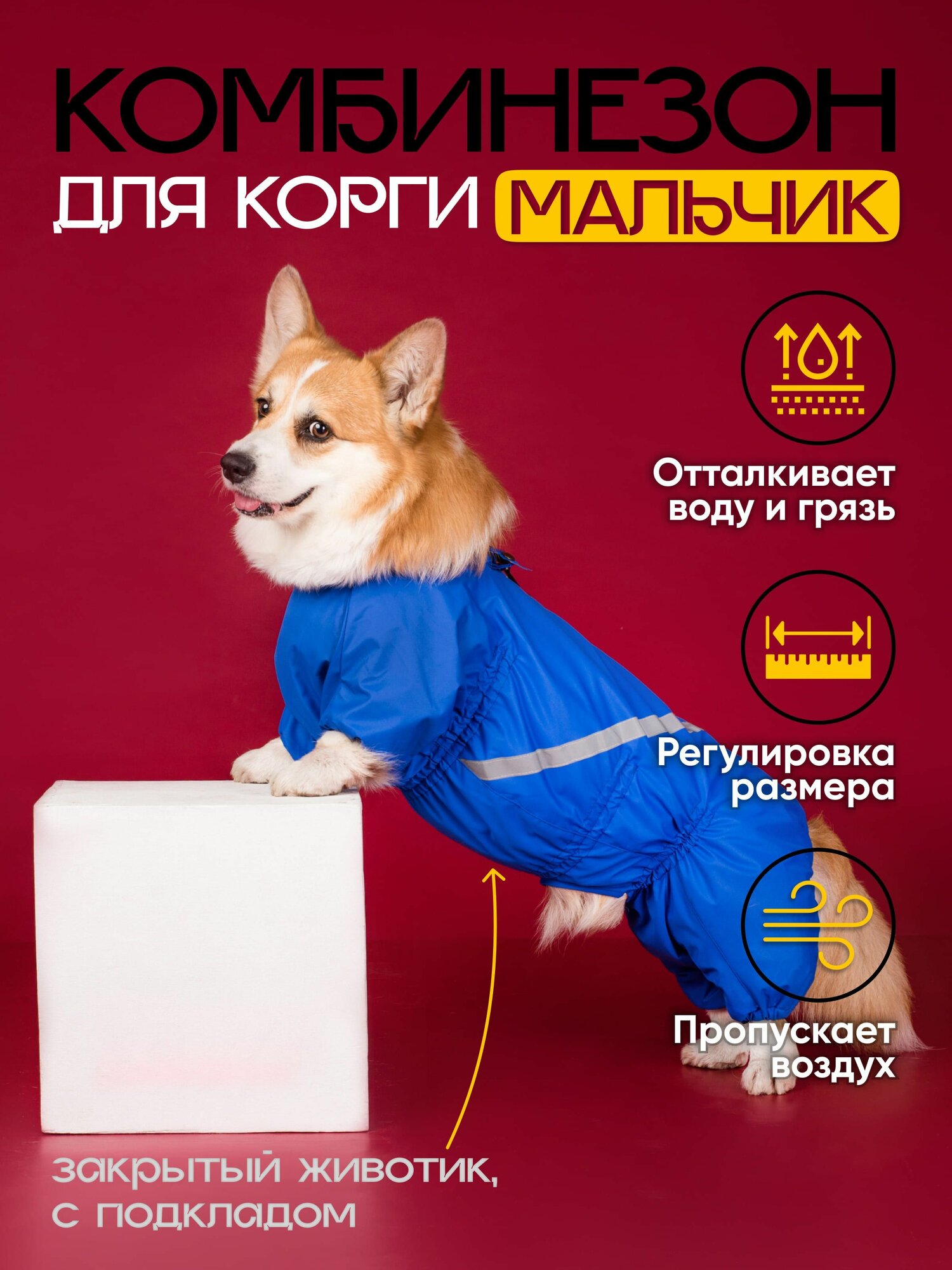 Влагозащитный комбинезон DiploDog для Корги (мальчик), Одежда для Корги (мальчик)