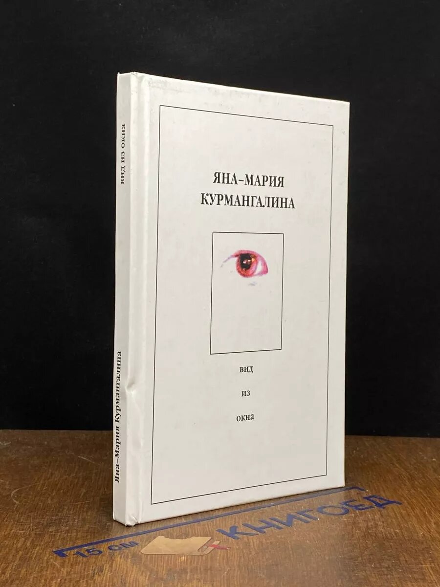 Книга. Вид из окна 2008 (2040693362267)