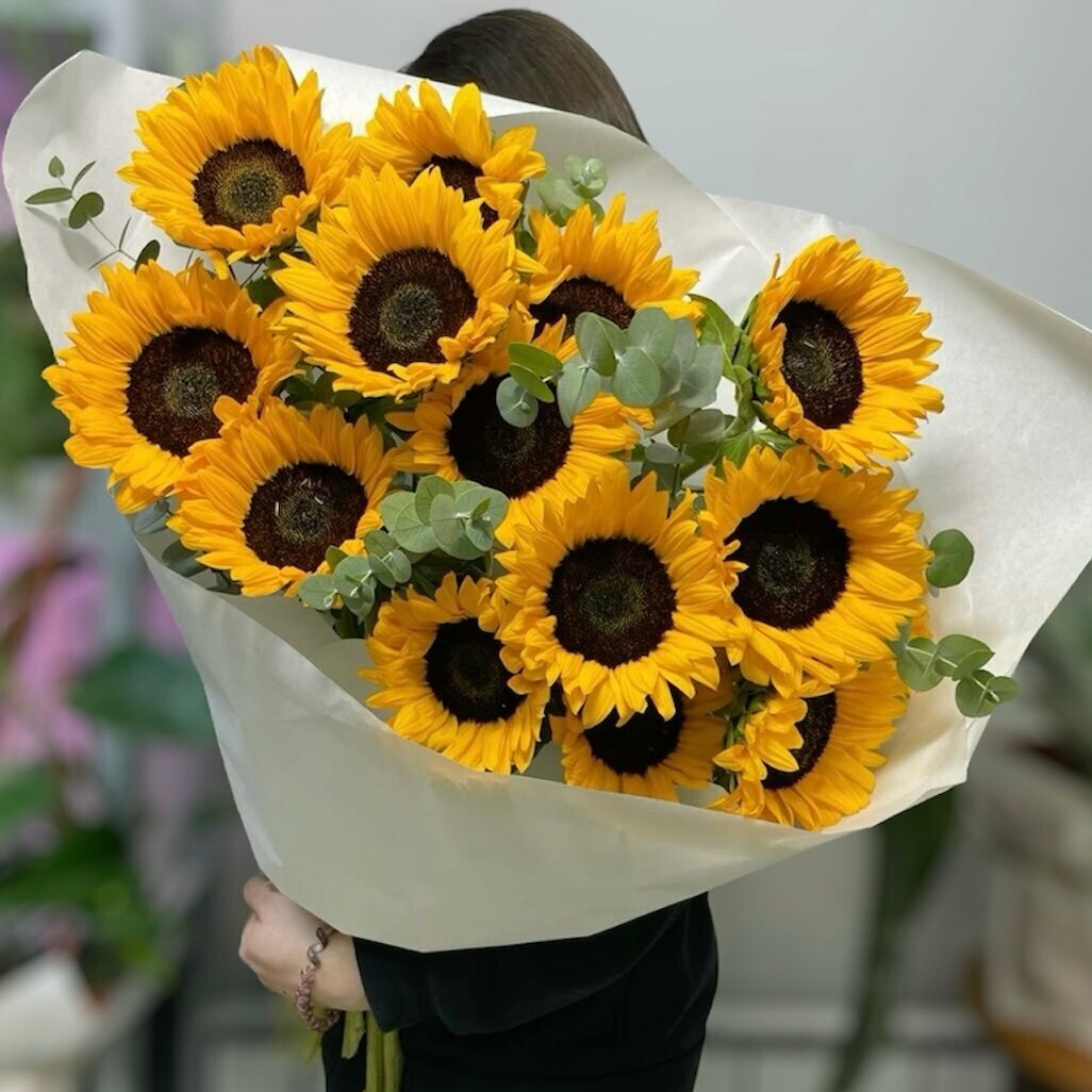 Букет из подсолнухов 13 шт и эвкалипта, красивый букет цветов, шикарный, премиум цветы, премиум букет