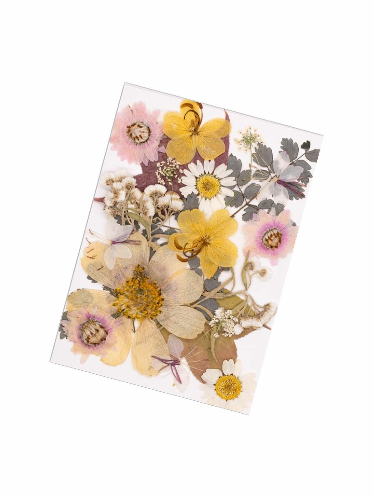Стабилизированныецветы,1 упаковка из 20 штук, серия Qiusheng, закладка с тиснением в виде сушеного цветка, материал ручной работы, листовая этикетка, материал упаковки-E