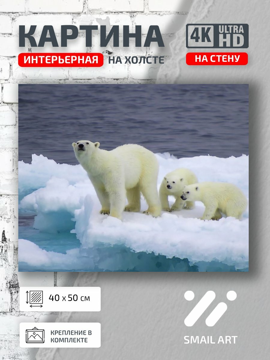 Картина на холсте интерьерная 40 на 50 на стену Снегу Mood для офиса атмосфера интерьер