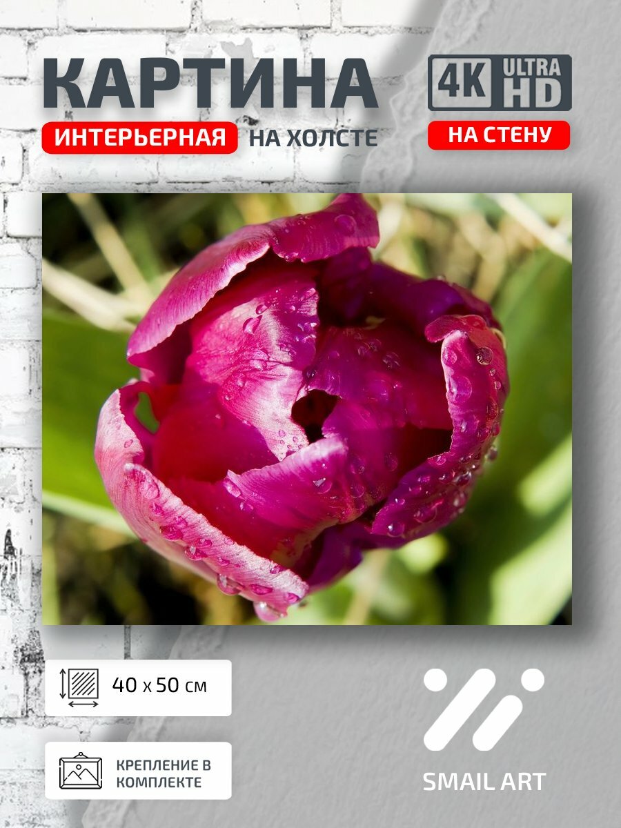 Картина на холсте интерьерная 40 на 50 на стену Фиолетовый Landscape для кабинета пейзаж