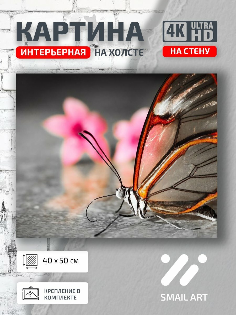 Картина на холсте интерьерная 40 на 50 на стену Бабочка Mood для офиса атмосфера интерьер